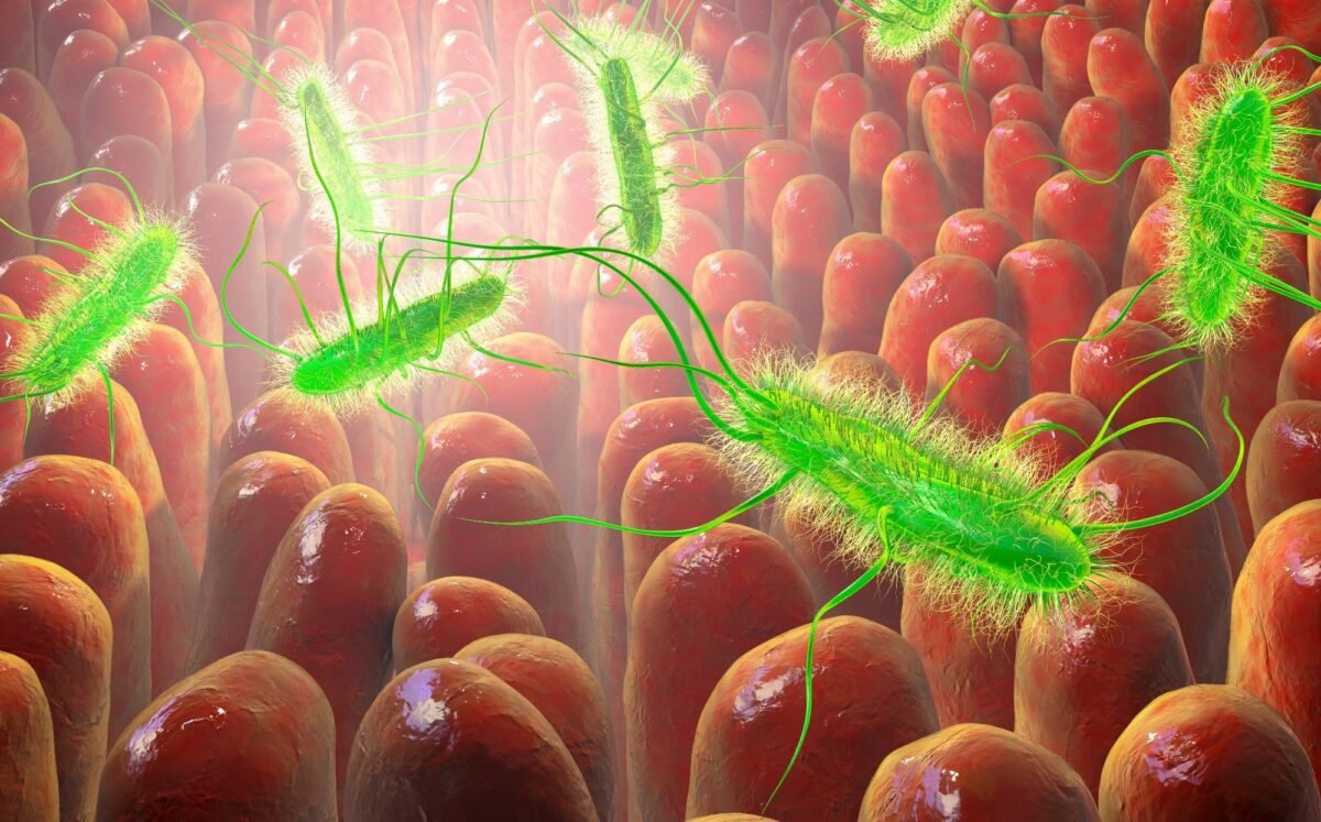 Discovery of antibiotic lolamicin that targets deadly bacteria without ...